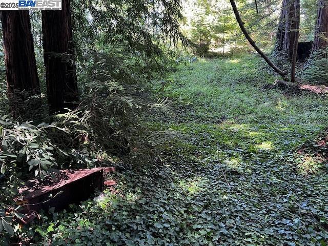 27 Old La Honda Rd, Woodside, CA 94062 | MLS #41106