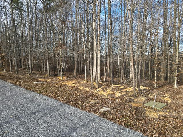 27 Piper Road