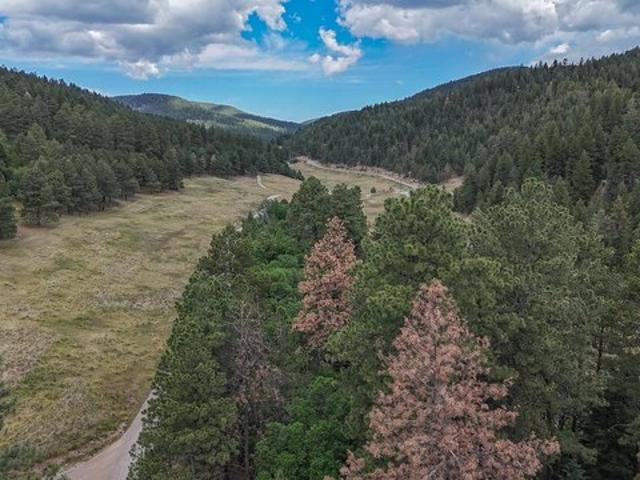 27 Ponderosa Pines Trl, Cloudcroft, NM 88317