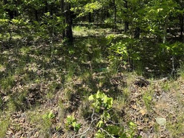 27 S 4532 Rd, Vian, OK 74962