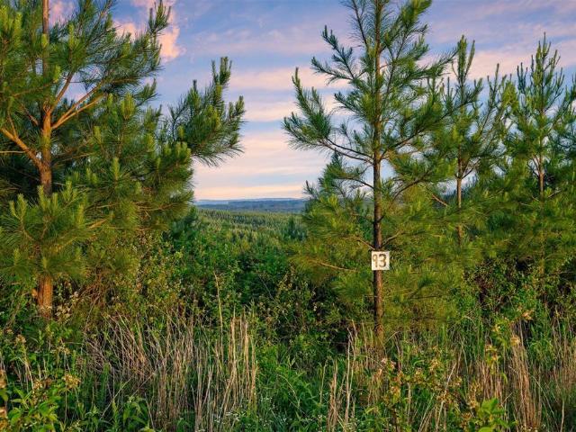 27 Scarlet Oak Trail