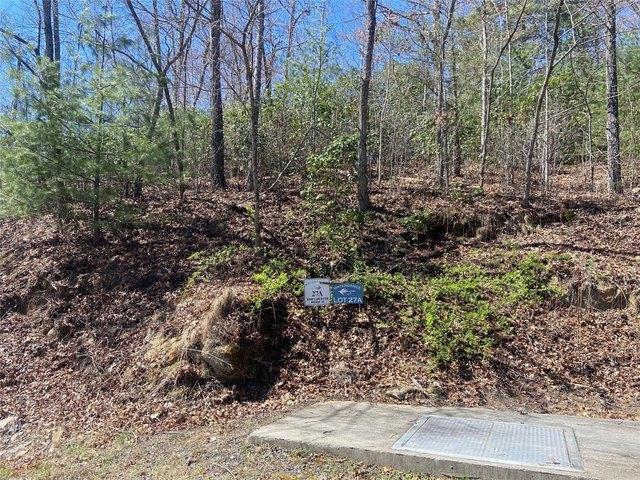 27A Mayfly Lot 27A, Tuckasegee, NC 28783