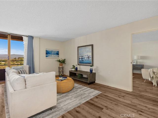 24055 Paseo Del Lago 1162