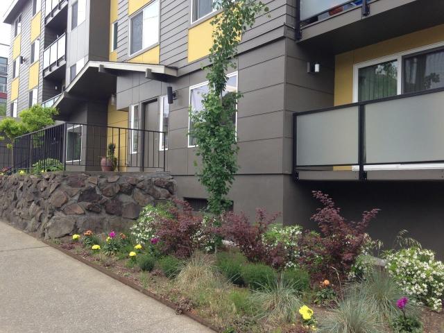 2405 NW 65th St 1 Bedroom Apartment for Rent at 2405 Nw 65th St, Seattle, WA 98117 Adams