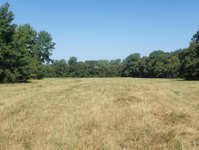 2405 FM 2455, Pittsburg, TX 75686