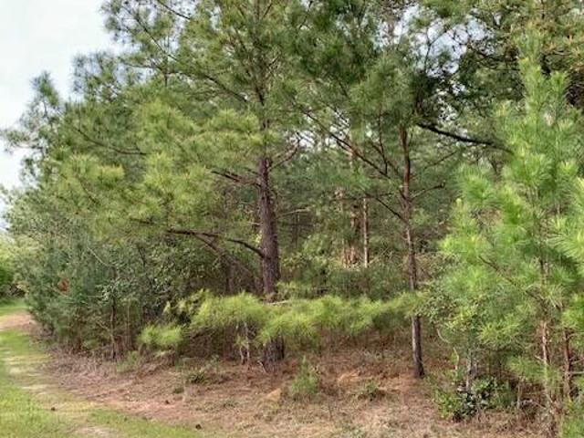 2405 HWY 88