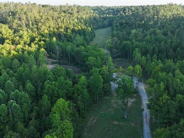 2405 Tract 4 Barney School Rd, Campbellsville, KY 42718