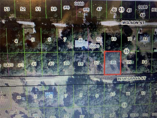 2406 Bluegrass St, Inverness, FL 34453 | MLS #OM721141 | Compass