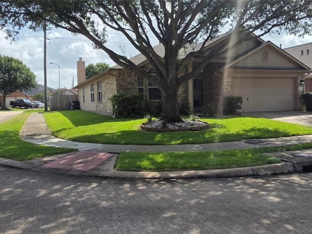 2406 Cardinal Elm Street