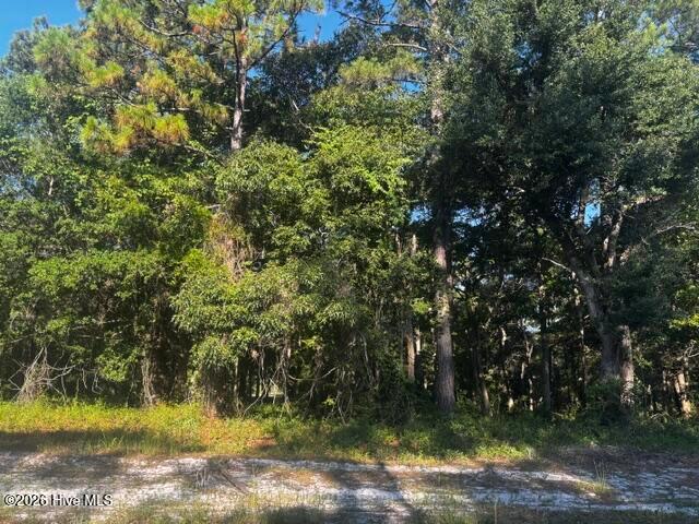 2408 Zion Hill Rd SE, Bolivia, NC 28422 | MLS #100583