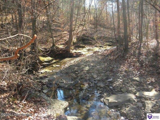 2409 Benleo Rd, Bowling Green, KY 42101
