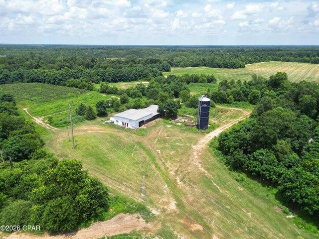2409 Bluff Rd, Grand Ridge, FL 32442