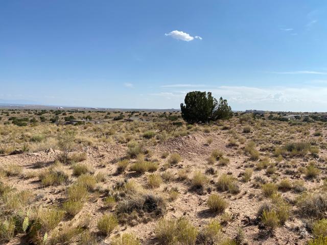 2409 desert marigold road ne