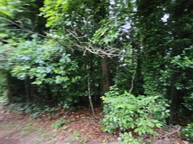 2409 Tarian Dr, Decatur, GA 30034