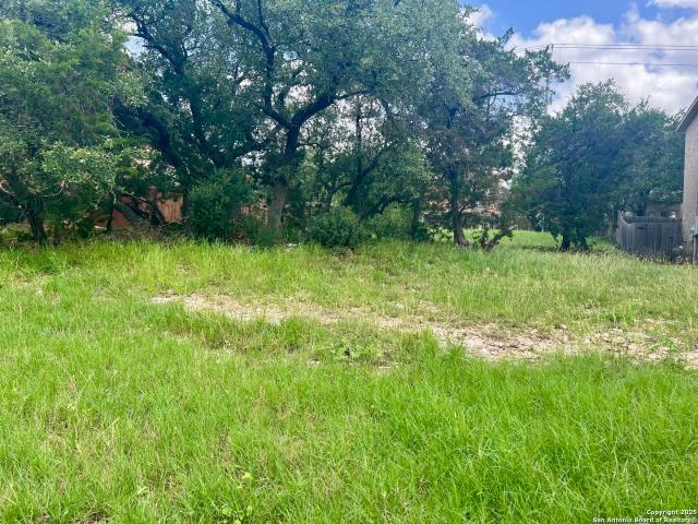 24002 Viento Oaks, San Antonio, TX 78260 | MLS #1874