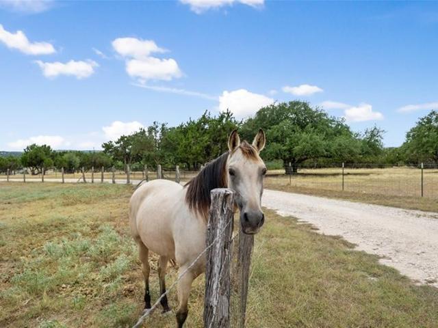 2400 W Fitzhugh Rd, Dripping Springs, TX 78620
