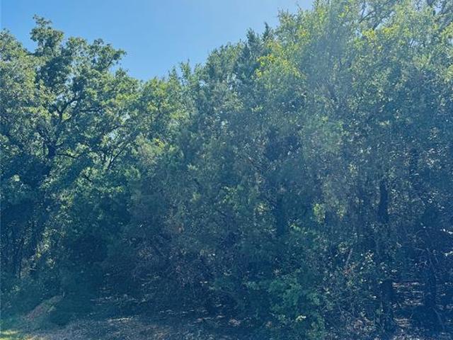 24019 Wood Hollow Drive