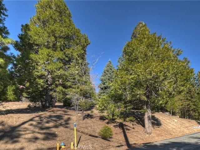 2402 Spring Oak Dr, Running Springs, CA 92382 | MLS #OC25171 | Compass