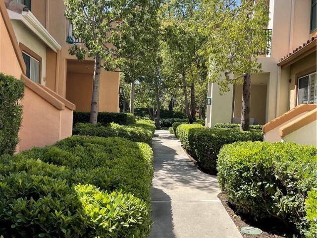 2403 Ladrillo Aisle 51