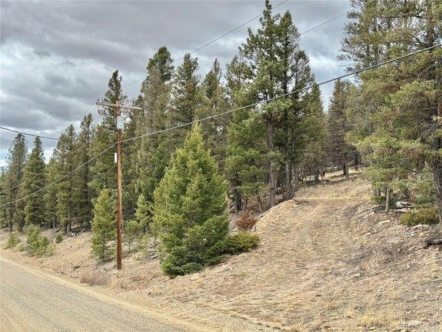 2403 Redhill Rd Lot 37, Fairplay, CO 80440