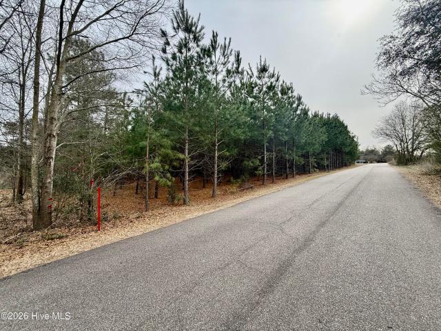 240 Bennett Rd, Ellerbe, NC 28338 | MLS #100556