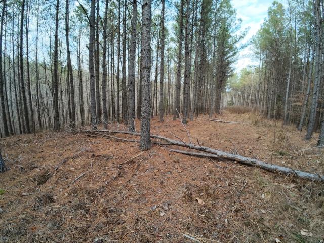 240 Brookstone Dr