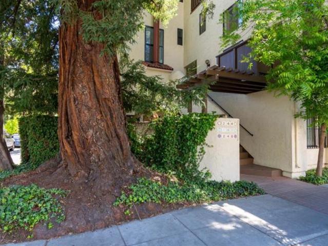 240 Forest Ave Palo Alto, CA 94301