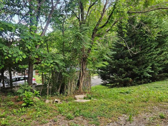 240 Henderson Hollow Rd
