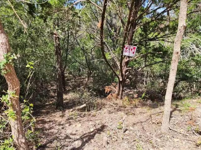 240 Iva Ln, Bastrop, TX 78602 MLS 8751347