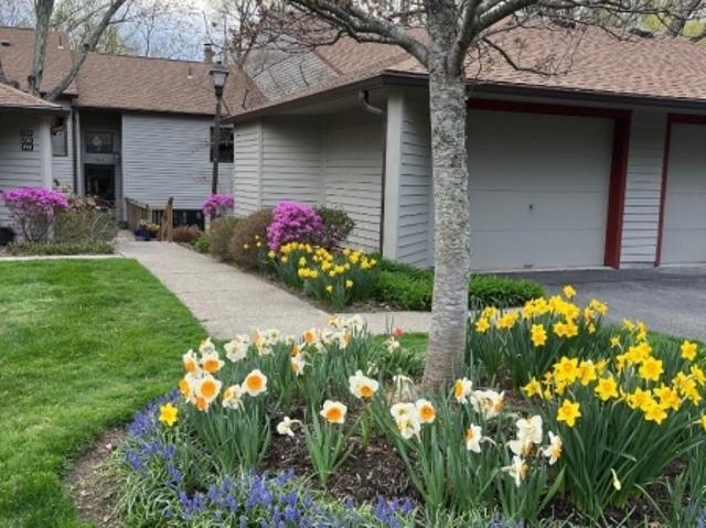 240 Mountain View Dr