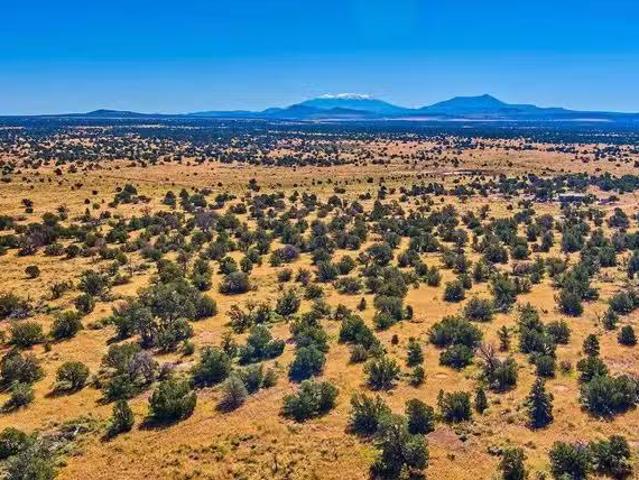 240 N Wyandotte Road, Williams, AZ 86046 654502893