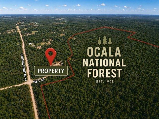 240 National Forest Rd # 41, Palatka, FL 32177