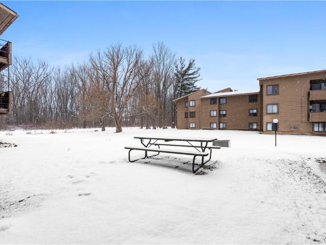 240 Watertree Drive