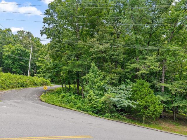 240 Timber Ridge Drive
