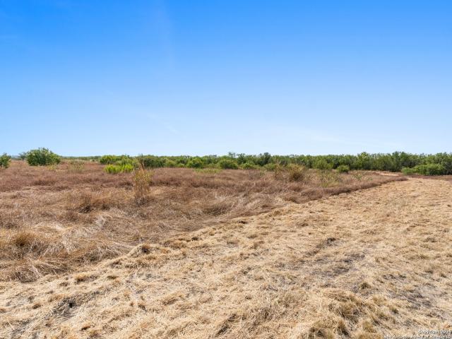 2415 Farm to Market Road 1518, St. Hedwig, TX 78152 | MLS #1912