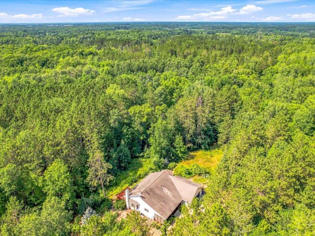 24167 Pine Tree Trail