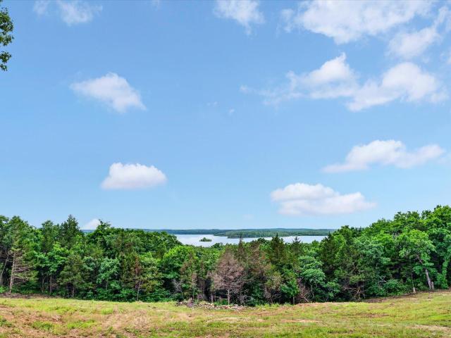 24164 State Highway 254 # Lot 2