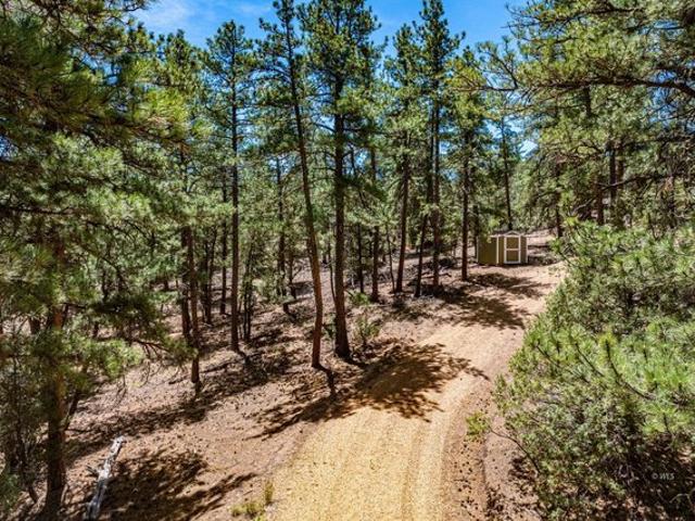 2417 Indian Wells Rd, Cotopaxi, CO 81223