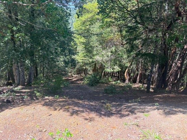 24193 Willow Ln, Willits, CA 95490