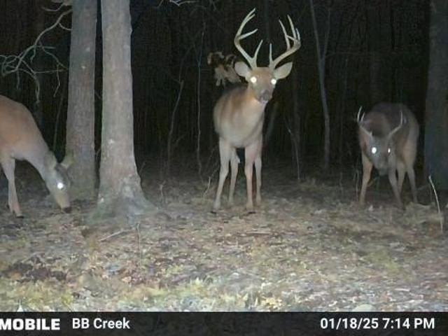 2419 Bb Hwy, Fairdealing, MO 63939
