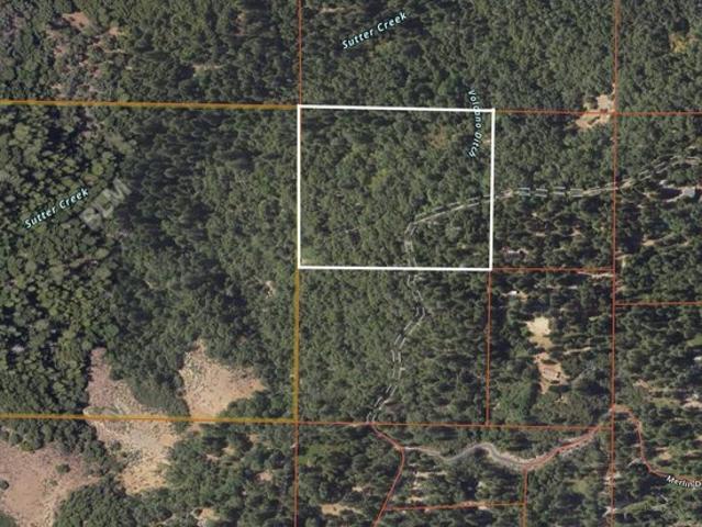24100 Canterbury Rd, Pioneer, CA 95666
