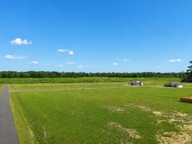 24112 Red Tail Ln, Denham Springs, LA 70726