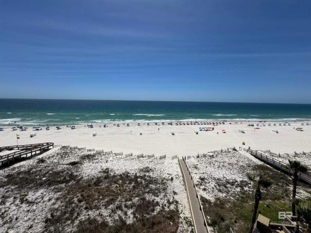 24114 Perdido Beach Boulevard 704
