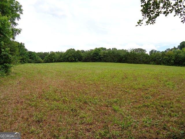 2411 Kesler Rd, Carnesville, GA 30521