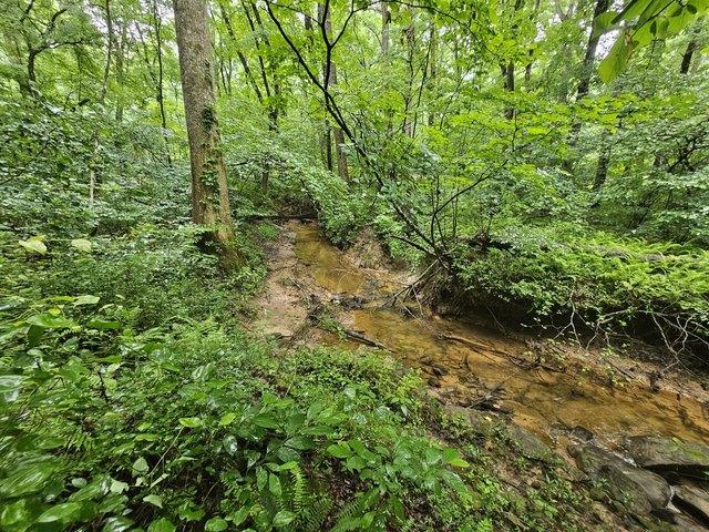 2411 SR 56 Rd Lot 4, Tracy City, TN 37387