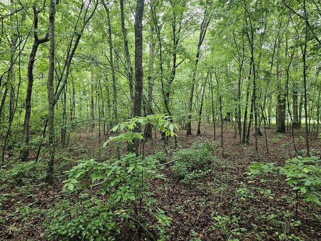 2411 SR 56 Rd Lot 2, Tracy City, TN 37387