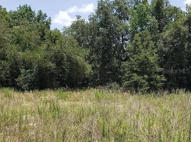 2412 Van Buren St, Inverness, FL 34453