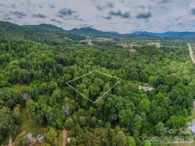 241 Clyde View Hts, Clyde, NC 28721