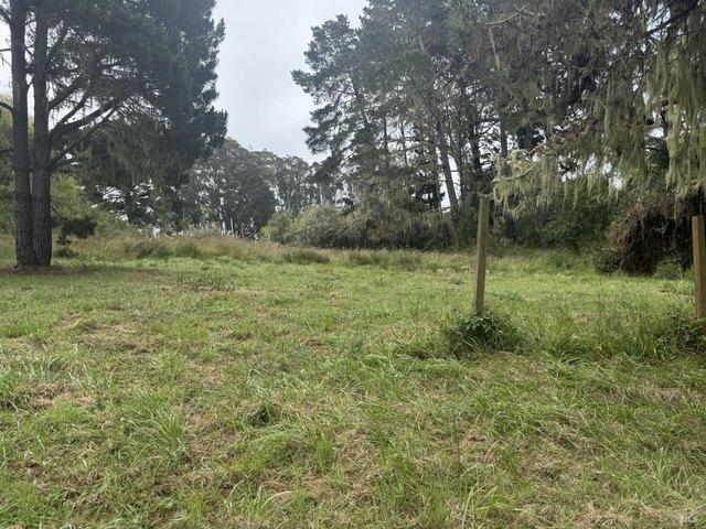 241 Alder Rd, Bolinas, CA 94924