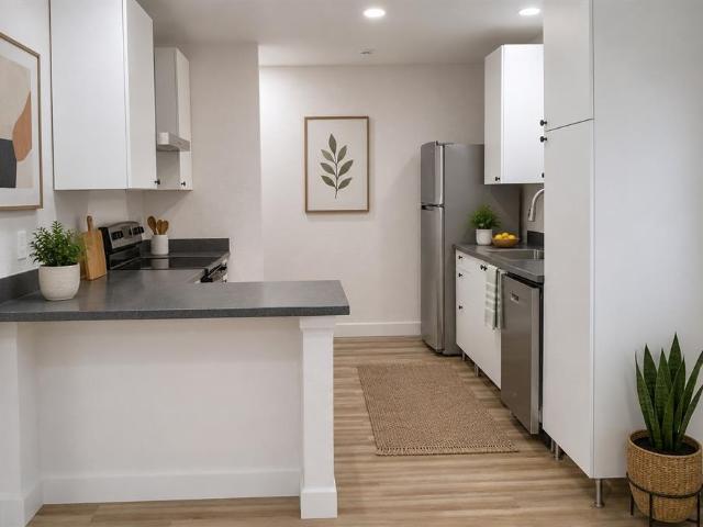 241 Brushy Creek Trail